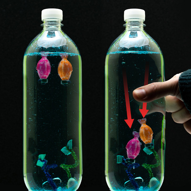 Hungry Diving Fish STEAM Kit | EFL/ESL Kids Crafts